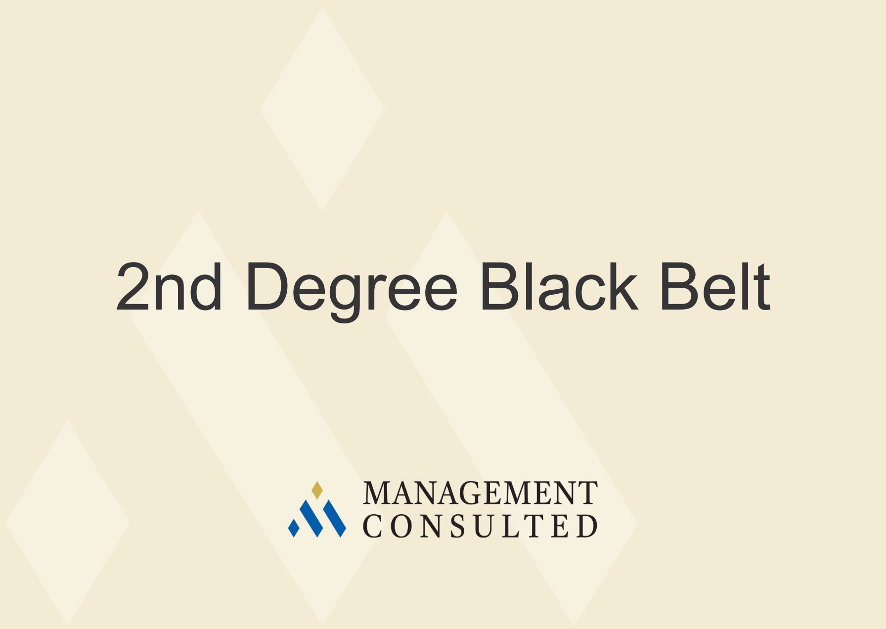 2nd Degree Black Belt | Management Consulted