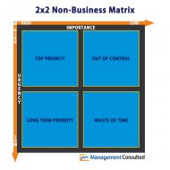 2x2 Matrix: Opposing Characteristics Framework | Management Consulted