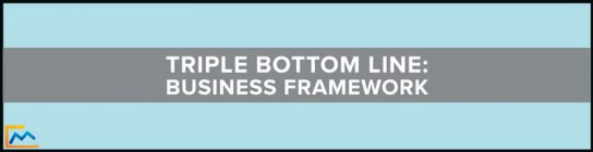 Triple Bottom Line: Business Framework | Business Consulting Training