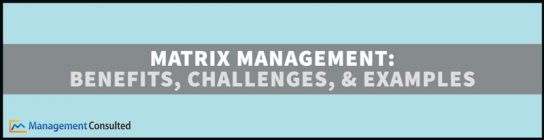 Matrix Management: Benefits, Challenges, & Examples | Team Trainings