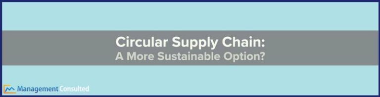 Circular Supply Chain: A More Sustainable Option? | Consulting Skills