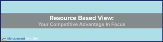Resource Based View: Your Competitive Advantage In Focus