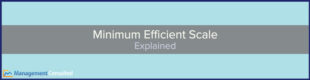 Minimum Efficient Scale Explained