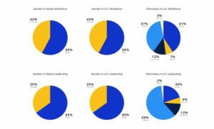 Visa Consulting and Analytics | Firm Overview