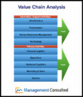 Value Chain Analysis: What Is It & Benefits
