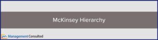 McKinsey Hierarchy | Management Consulted